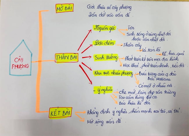 Siêu Hay Lập Dàn ý Tả Một Cây Hoa Hoặc Cây ăn Quả Cây Bóng Mát Cây